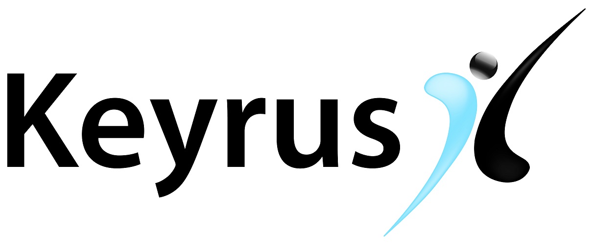 Keyrus se renforce dans le big data avec l'acquisition de BIPB