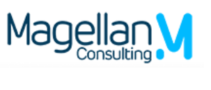 Conseil en transformation digitale : Magellan Consulting acquiert le ...