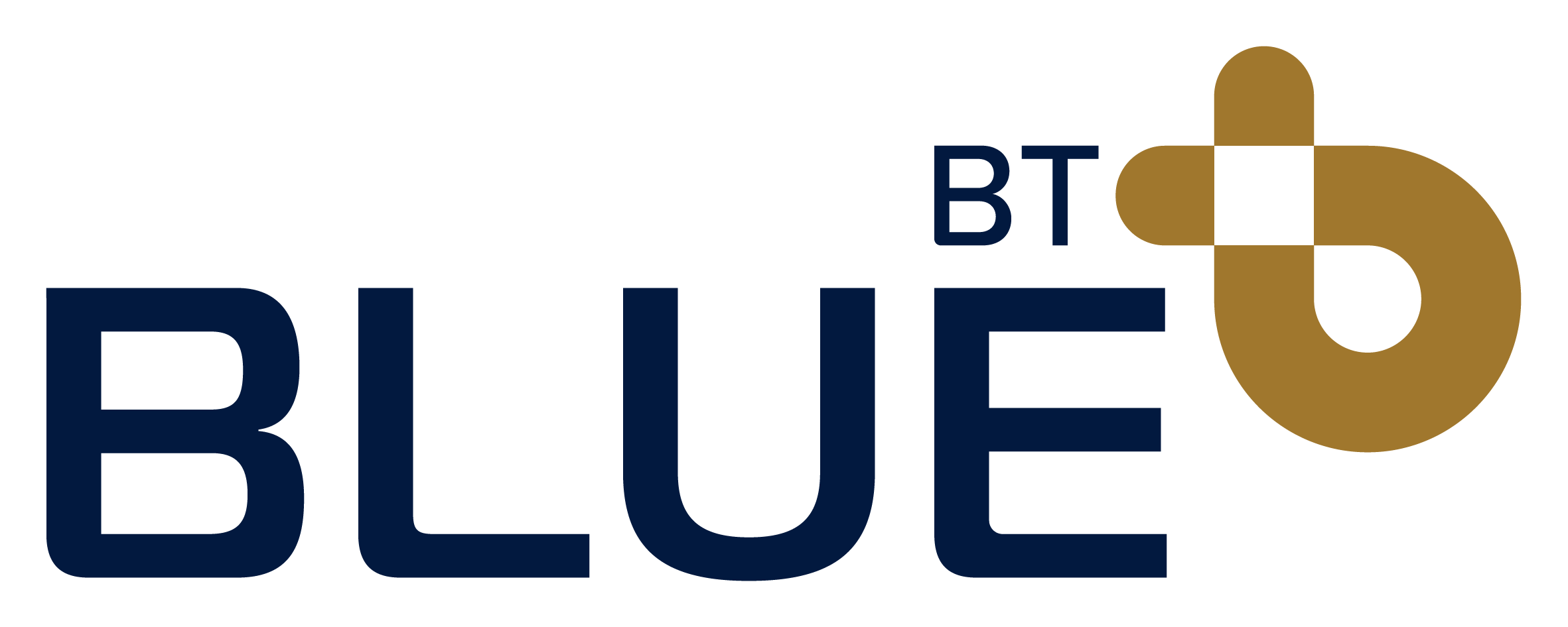 Bretagne Télécom devient BT Blue et part à la conquête du sud-ouest