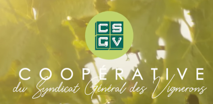 La Coopérative du Syndicat Général des Vignerons fait le choix d’une ...