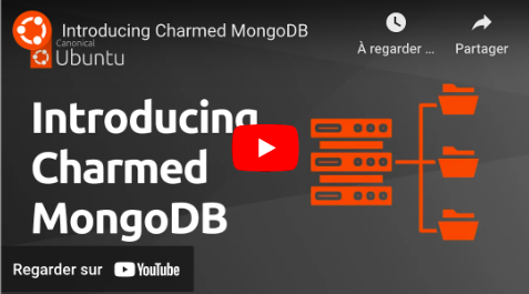 Canonical annonce la disponibilité générale de Charmed MongoDB