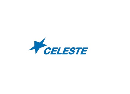 Celeste rachète Magic Online, hébergeur cloud souverain et opérateur ...