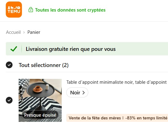 La plateforme chinoise Temu accusée de manipuler les consommateurs dans l’UE